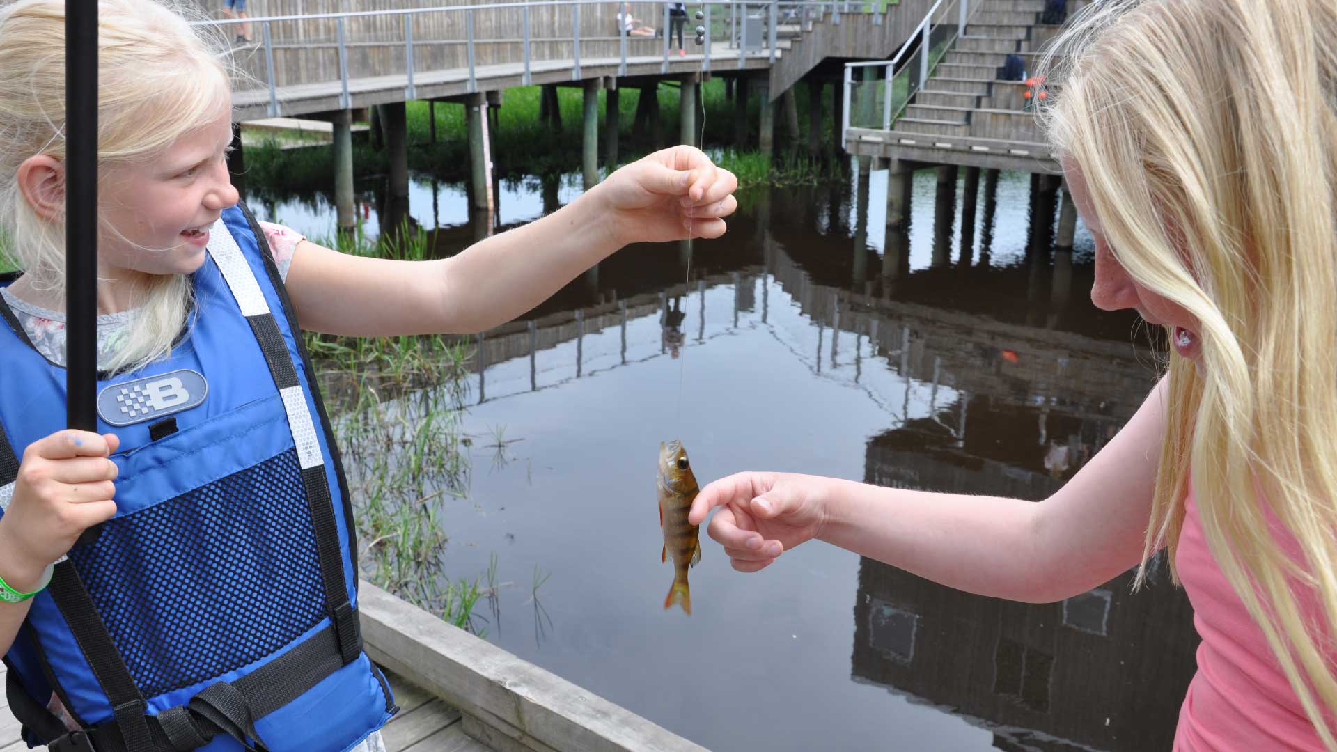 Fiska i Vattenriket – Biosfärområde Kristianstads Vattenrike