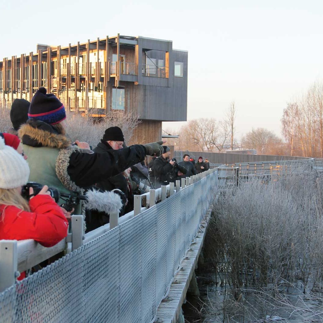 Aktiviteter – Biosfärområde Kristianstads Vattenrike